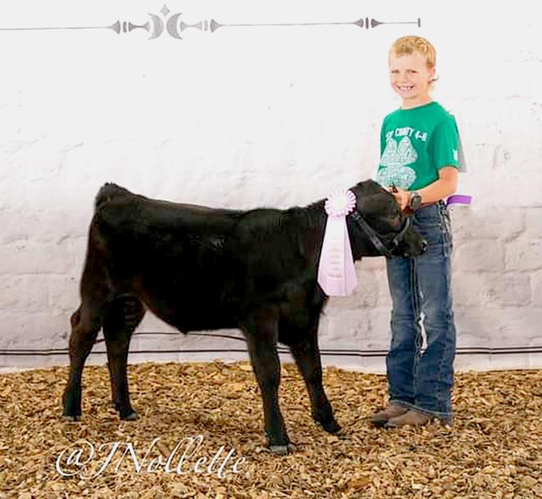 Bucket Calf /Dairy Cattle/Sheep and Goat Show | Valentine Midland News